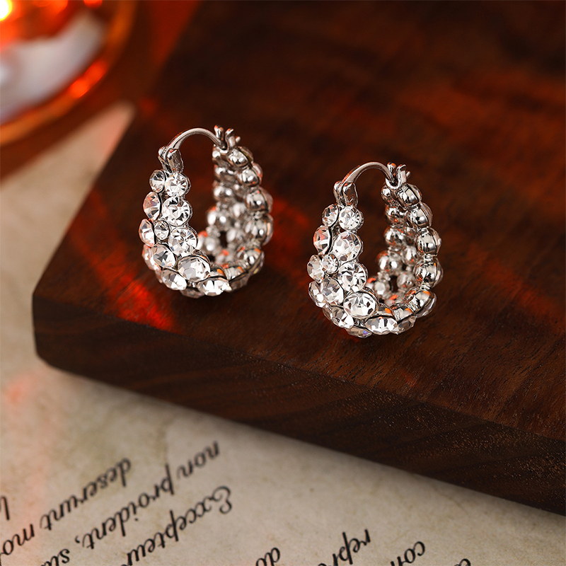 Stylish Rhinestone Earrings – charnent